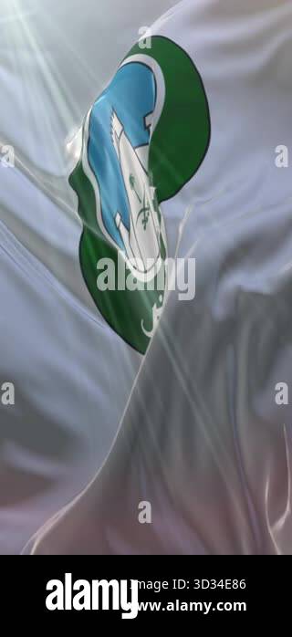 Flag saudi arabia vertical Stock Videos & Footage - HD and 4K Video ...
