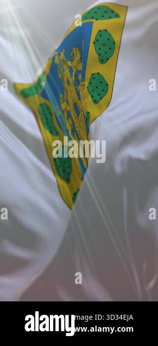 Mexico City Flag, Mexico. Loop. 4K Vertical Stock Video Footage - Alamy