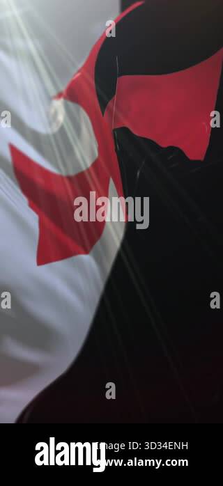 War knights templar Flag. 4K Vertical. Loop Stock Video Footage - Alamy