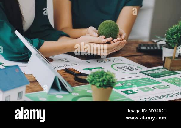 businesswoman working with a small business plant Stock Video Footage ...