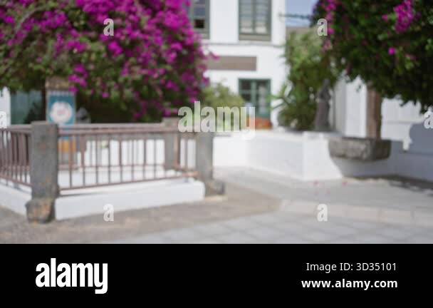 Blurry outdoor scene with colorful flowers and traditional architecture ...