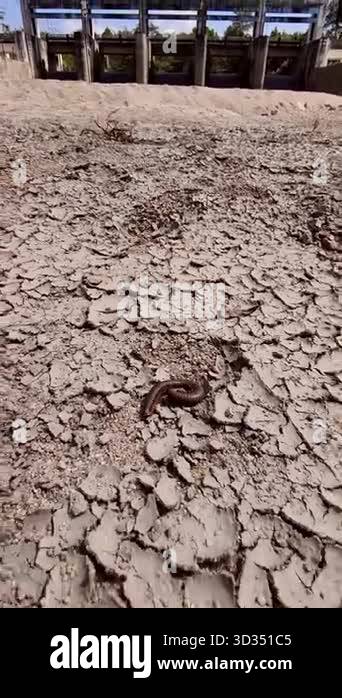 the old and dirty water surface. drought in the water. the water is dry ...