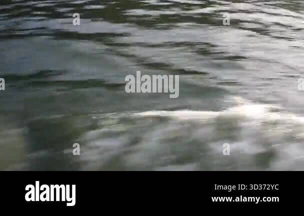 Speed boat in river Stock Videos & Footage - HD and 4K Video Clips - Alamy
