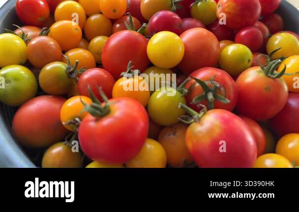 Close-up of a mix of colorful cherry tomatoes Stock Video Footage - Alamy