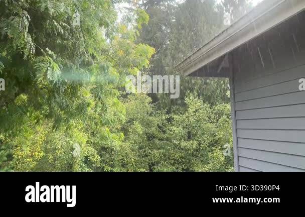 Rain storm outside of home with trees and partial home in background ...