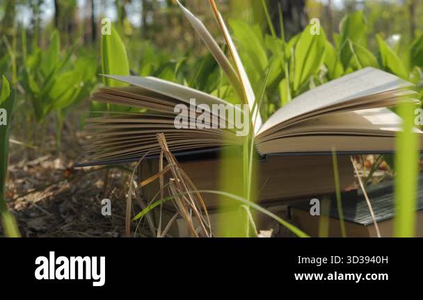 Open book among green leaves with lily of the valley in sunlight ...