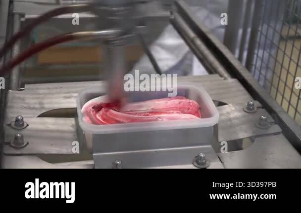 Industrial Ice Cream Production Process In Modern Factory, Automated ...