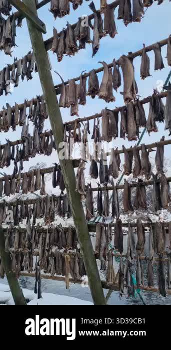Drying racks stockfish Stock Videos & Footage - HD and 4K Video Clips ...