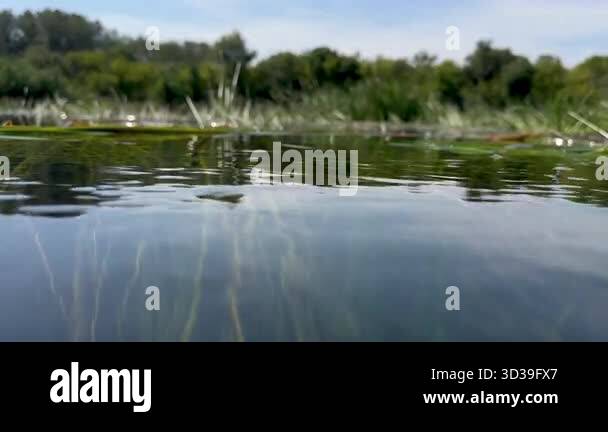 Contrast between smooth surface of mountain river and slowly moving ...