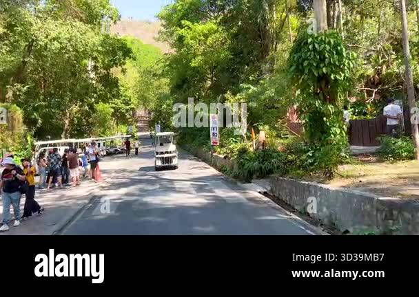Golf carts transporting visitors through lush zoo scenery Stock Video ...
