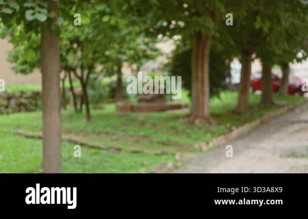 Blurry outdoor garden with trees and defocused natural scenery create a ...