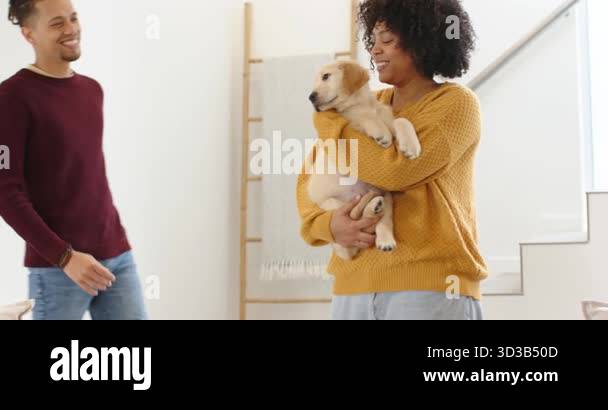 At sight of golden retriever puppy African American couple sharing ...