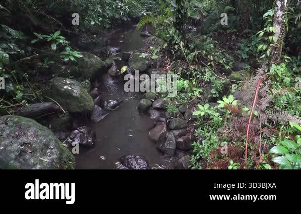 Creek winding through rocks Stock Videos & Footage - HD and 4K Video ...