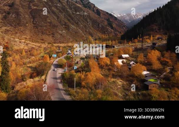 Aerial drone view panorama of yellow and red trees in autumn forest ...
