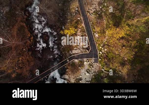 Aerial drone view panorama of yellow and red trees in autumn forest ...