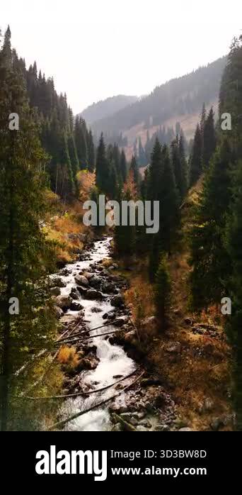 Vertical video of Aerial drone view panorama of the river at yellow and ...