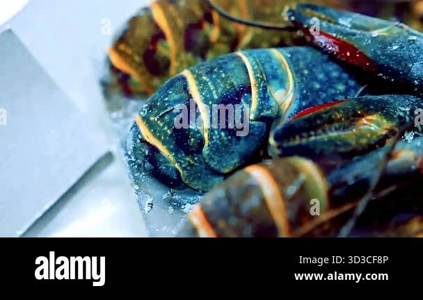 Crawfish - Cooked Crawfish, raw crawfish beautifully transformed by the ...