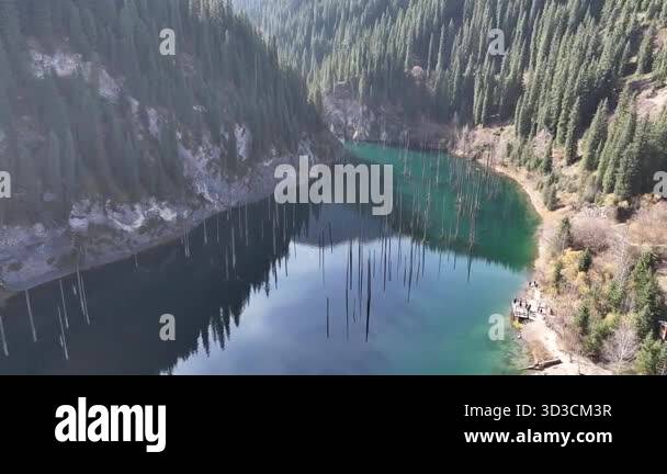 An Aerial View Of Tree Trunks In Lake Kaindy A Popular Tourist