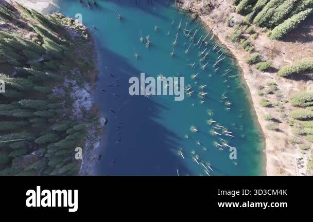 An Aerial View Of Tree Trunks In Lake Kaindy A Popular Tourist