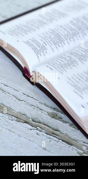 Turning pages and reading from open holy bible book. Vertical video ...