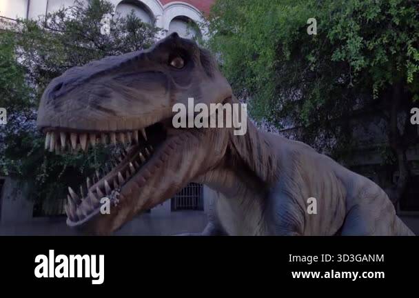 Lifelike Animatronic T-Rex with Fierce Expression - 4K Stock Video ...