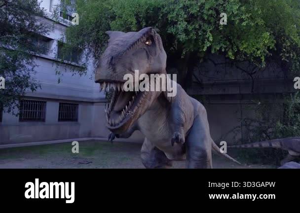 Tyrannosaurus rex outside museum Stock Videos & Footage - HD and 4K ...