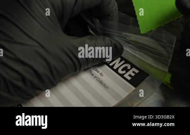 Police investigator in black gloves studying seized illegal LSD drugs ...