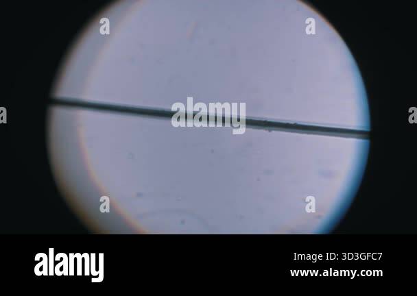 Static shot in a circular frame of a human hair strand at high ...