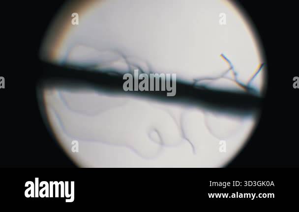 Microscopic fibers fabric structure Stock Videos & Footage - HD and 4K ...