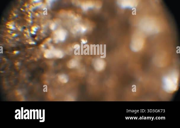 Extreme close-up of paper fibers and pulp structure under a microscope ...