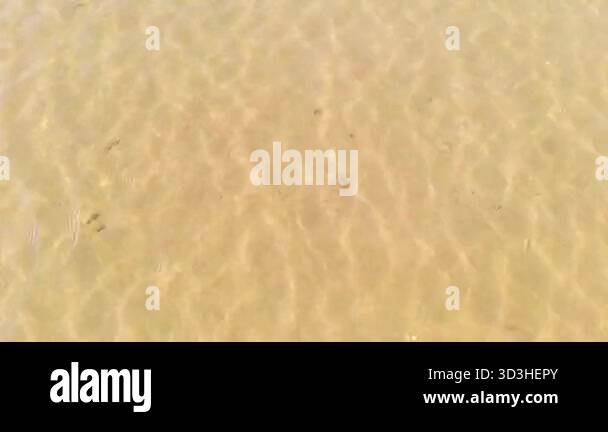 A small hermit crab walks on a sea day. The sea waves gently splash. A ...