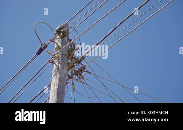 Wooden pole wired with electricity cables under a clear blue sky in a ...