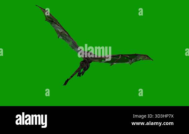Fantasy Dragon Flying Animation Back Side Isolated on Green Screen ...