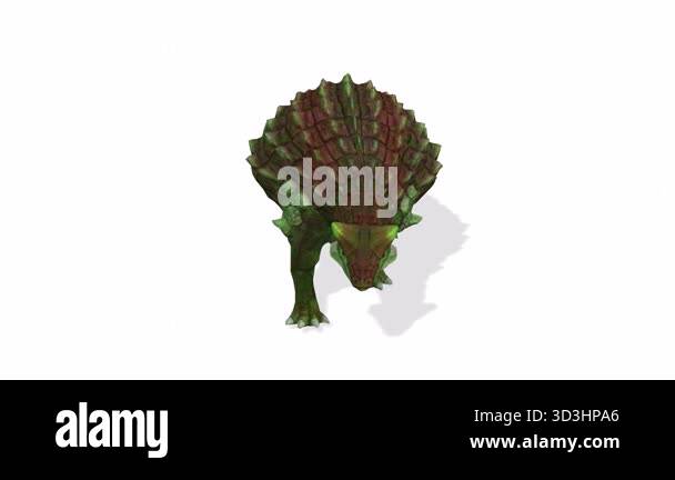 Ankylosaurus Dinosaur Walking Animation Front Side Isolated on White ...