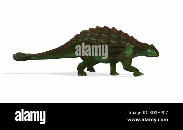 Ankylosaurus Dinosaur Walking Animation Right Side Isolated on White ...