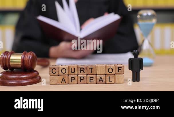 In a busy courtroom, a judge reviews important documents while a small ...