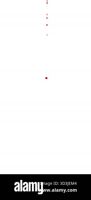 Slow Motion Shot of Red Blood Dripping and Splashing on a Clean White ...