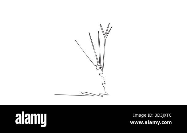 Animated self drawing of continuous line draw person is paragliding ...