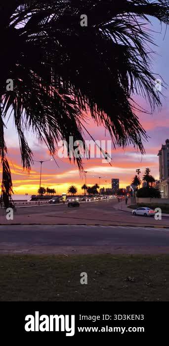 Pocitos neighborhood Stock Videos & Footage - HD and 4K Video Clips - Alamy