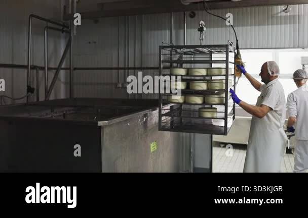 Cheesemaker operating a crane to slowly submerge a large metal rack ...
