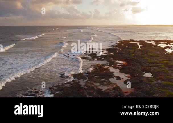 Rocky tidal pools seaweed Stock Videos & Footage - HD and 4K Video ...
