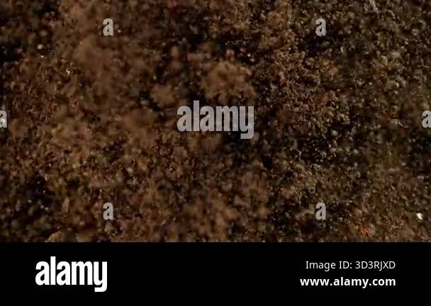 Super Slow Motion Shot of Exploding Soil Towards Camera at 1000fps ...