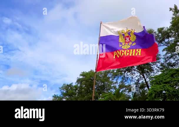 Russian flag in the tropical nature in Patong Beach Kathu District ...