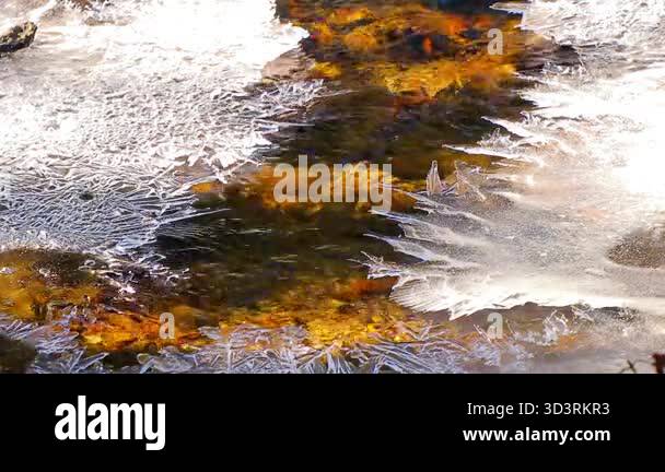 Fixed shot video landscape of about twenty seconds of a stream in the ...