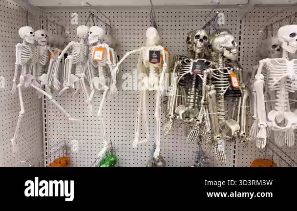 Retail shelving with hanging skeleton decorations for Halloween, with ...