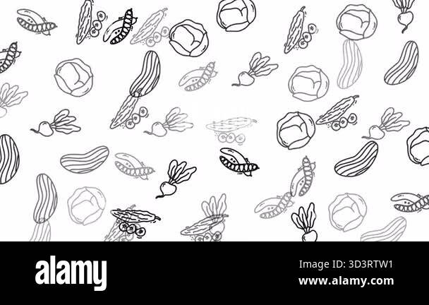 Minimalist Animated Pattern of Hand Drawn Vegetables Falling on White ...