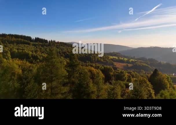 An aerial view of an evergreen pine forest in autumn in Redwood ...