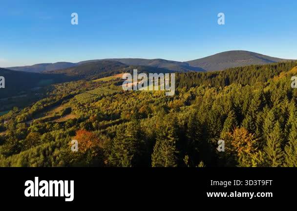 An aerial view of an evergreen pine forest in autumn in Redwood ...
