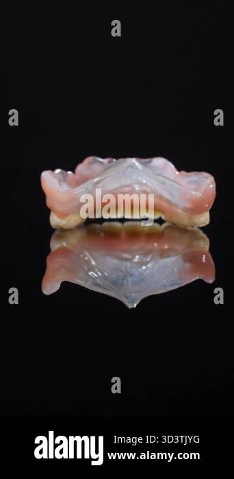 Palatine plate Stock Videos & Footage - HD and 4K Video Clips - Alamy