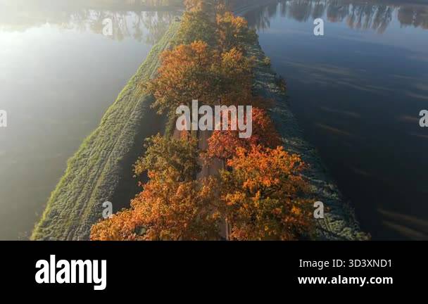 Aerial view of cars driving through scenic autumn road lined with ...